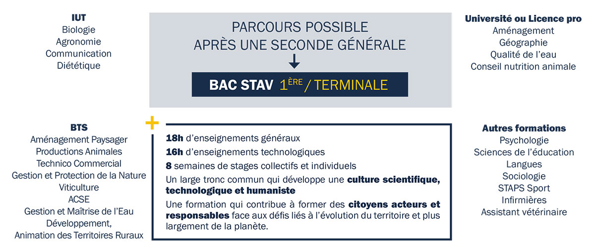 Bac STAV - Bac Technologique STAV - Lycée Briacé